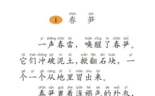 笋怎么读_笋的拼音声调是什么