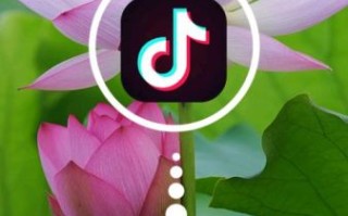 冬瓜影视破解版怎么下载_冬瓜影视破解版安全吗