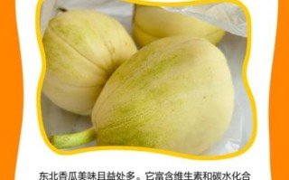 东北香瓜图片_东北香瓜怎么挑