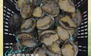 冻鲜鲍鱼怎么做不硬_解冻后口感软嫩技巧