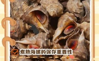 海螺煮多久才熟_海螺煮几分钟可以吃