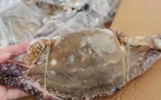 冰冻梭子蟹怎么做好吃_冰冻梭子蟹蒸还是煮