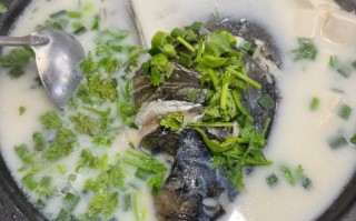 黑鱼头炖汤怎么做好吃_黑鱼头汤去腥技巧