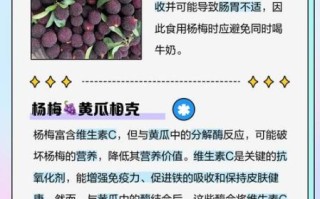 杨梅不能和什么一起吃_哪些食物与杨梅相克