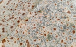 烙韭菜饼怎么和面窍门_韭菜饼和面水温多少合适