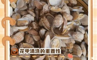 花甲怎么洗才干净_花甲清洗技巧