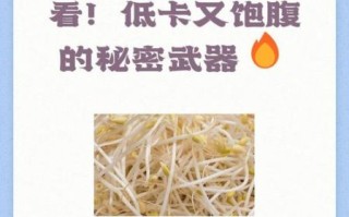 豆芽热量是多少_减肥可以吃豆芽吗