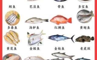 150种海鱼名称大全_如何快速识别常见海鱼