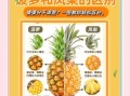菠萝和凤梨哪个贵_价格差异原因
