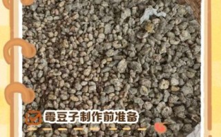 湖南霉豆子怎么做_正宗霉豆子做法窍门