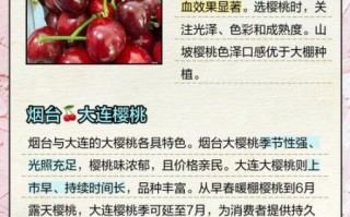 樱桃几月份成熟_樱桃成熟时间
