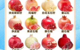 吃石榴籽的副作用_石榴籽吃多了会便秘吗