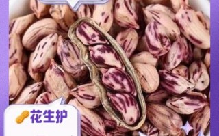 花生壳的功效与作用_花生壳能降血脂吗