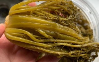 雪菜怎么腌制好吃_雪菜腌制简单方法