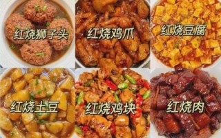 红烧菜100种大全_哪些做法最经典