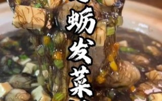 发菜怎么泡发_发菜的做法大全