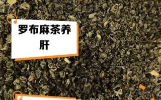 罗布麻的功效与禁忌_罗布麻能长期喝吗