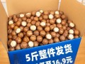 夏威夷果多少钱一斤_夏威夷果价格为什么差别大