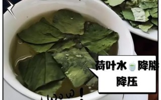 荷叶泡水喝减肥吗_荷叶茶减肥真相
