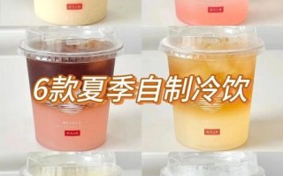 家庭自制冷饮做法大全_夏天喝什么最解暑 家庭自制冷饮做法大全_夏天喝什么最解暑