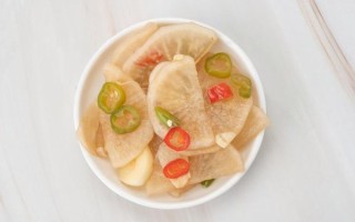 泡菜音译官方下载_如何安装使用