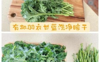 羽衣甘蓝可以生吃吗_羽衣甘蓝怎么做好吃