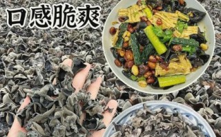 特别大的木耳叫什么_特大黑木耳品种与选购指南