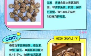 花菇好吃还是香菇好吃_哪个更香更鲜