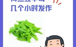 荷兰豆不熟会中毒吗_吃了没熟的荷兰豆怎么办