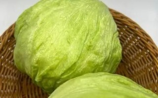 圆生菜怎么做好吃_圆生菜的家常做法大全