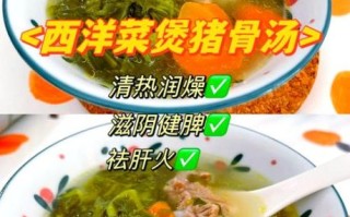 西洋菜煲汤配什么材料_西洋菜煲汤放什么好