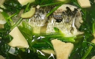 鲫鱼菠菜汤怎么做_鲫鱼菠菜汤的功效与禁忌