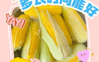 玉米怎么煮好吃又甜又香_玉米煮多久才甜