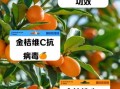 金桔有什么功效与作用_金桔怎么吃效果最好