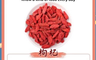 枸杞的功效与作用及禁忌_什么人不能吃枸杞