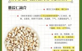 每天喝薏米水有什么好处_薏米水可以天天喝吗