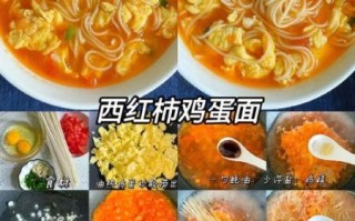 西红柿鸡蛋面怎么做_家常西红柿鸡蛋面做法大全