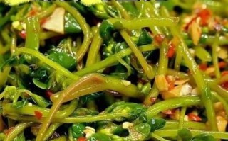 凉拌马齿苋怎么做才好吃_马齿苋凉拌要不要焯水