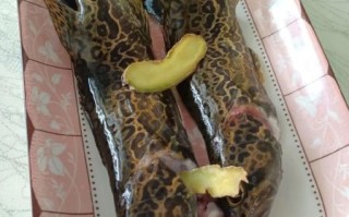 清蒸桂鱼改刀方法_清蒸桂鱼改刀技巧