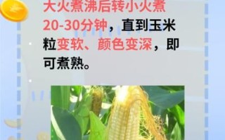 包谷煮多久能熟_新鲜玉米要煮多长时间