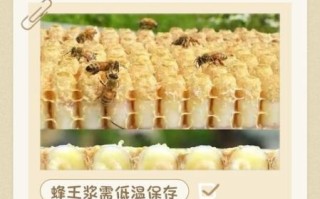 蜂王浆怎么保存_蜂王浆保存多久