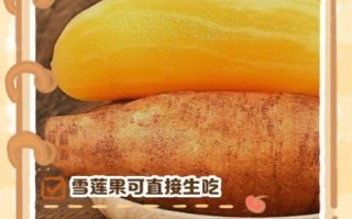 雪莲果怎么吃减肥快_雪莲果减肥的正确吃法