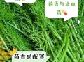 晚上吃茴香有什么坏处_晚上吃茴香会失眠吗