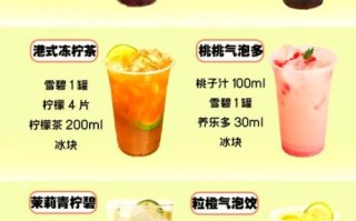 自制汽水饮料怎么做_自制汽水饮料配方大全