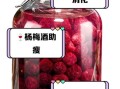 杨梅烧酒止泻有用吗_杨梅烧酒止泻怎么做