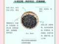 吃黑枸杞有什么功效_黑枸杞的正确吃法