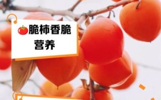 减肥吃柿子会胖吗_柿子热量高吗