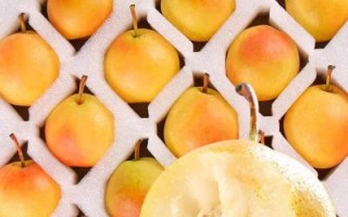 南国梨图片_如何挑选正宗南国梨