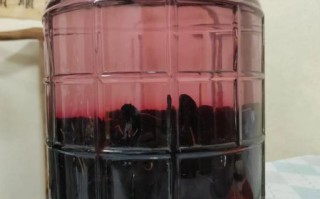 桑葚子泡酒的方法_桑葚子泡酒用什么酒好