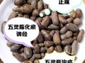 醋五灵脂的功效与作用_醋五灵脂怎么吃效果好